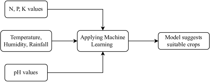 Jharana Sapkota's Portfolio